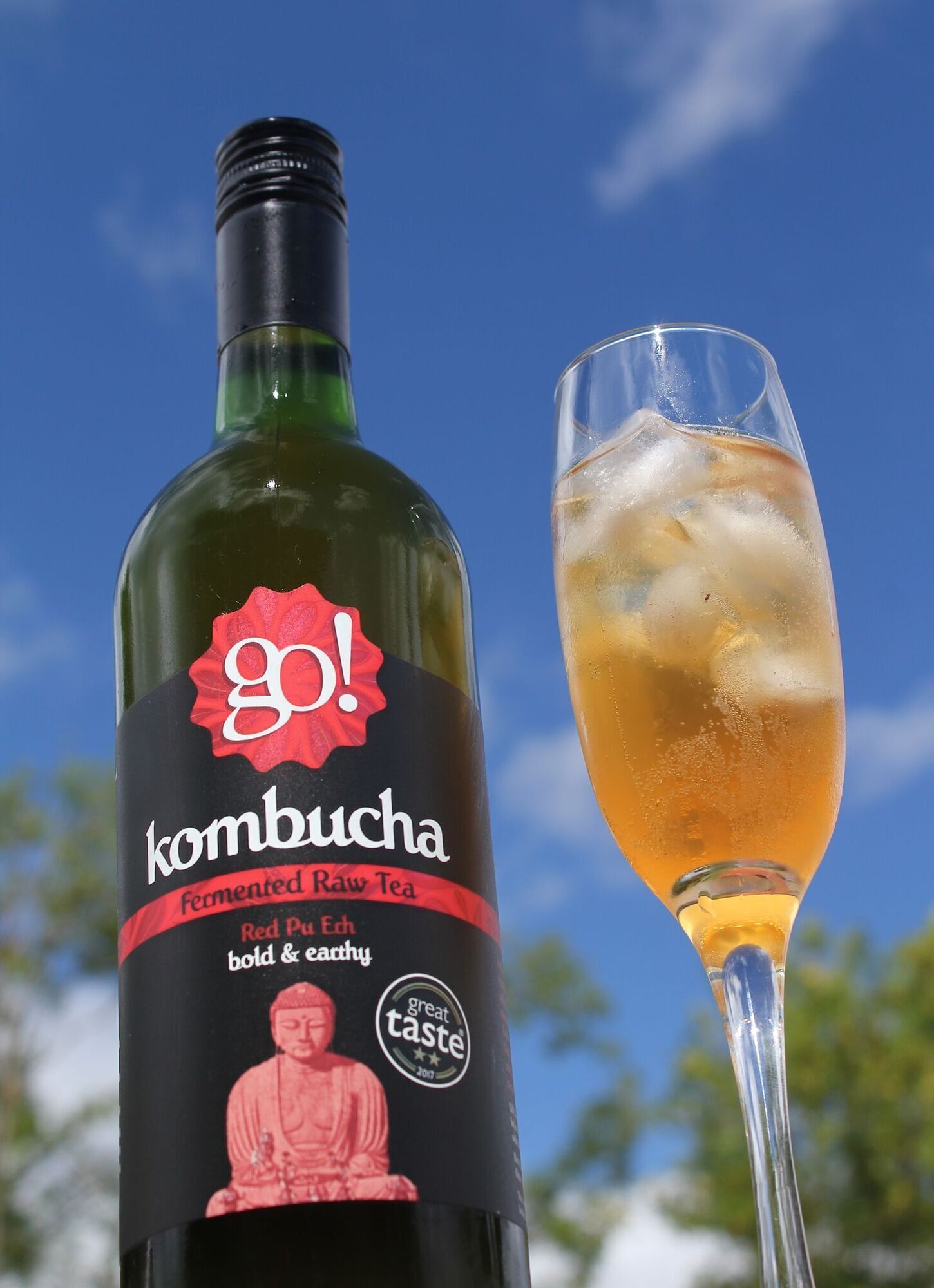 Gary Leigh, founder and owner of GO! Kombucha - Baron Mag