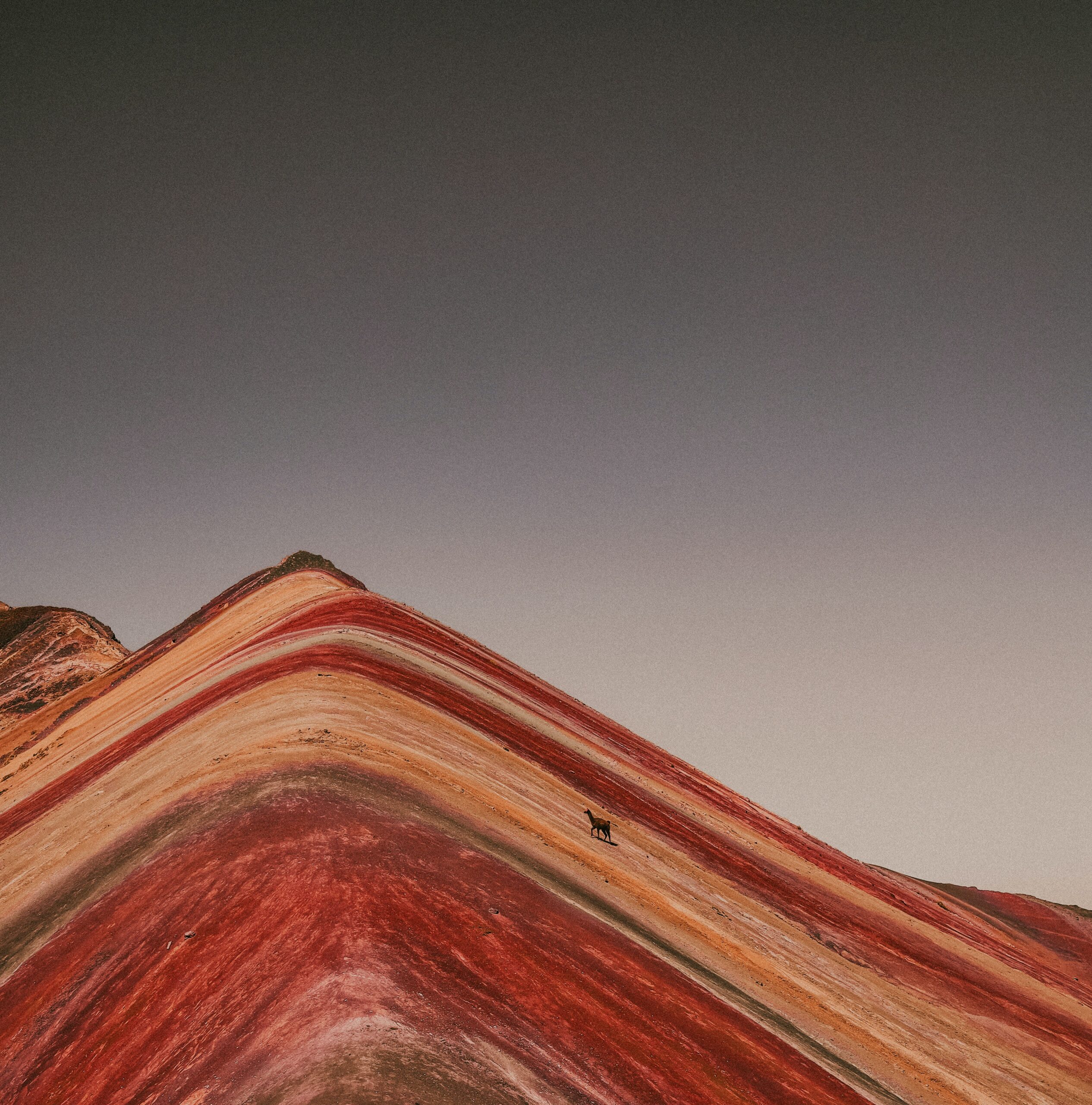 Unlocking the Future: How Bravo Telecom Internet Service Provider is ...