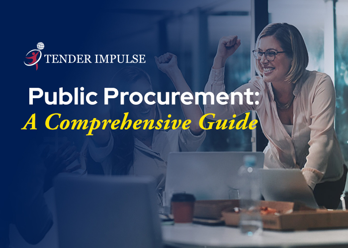 Public Procurement: A Comprehensive Guide - Baron Mag